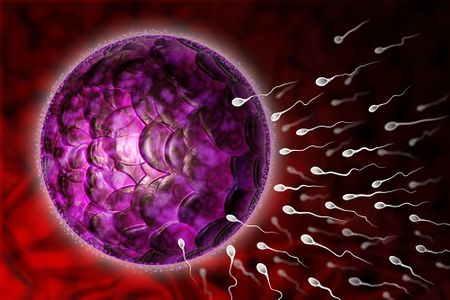 Vida humana - Bioeticawiki