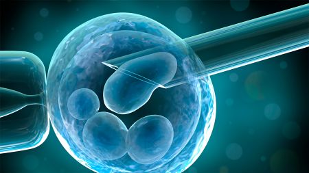 Transferencia nuclear - Bioeticawiki