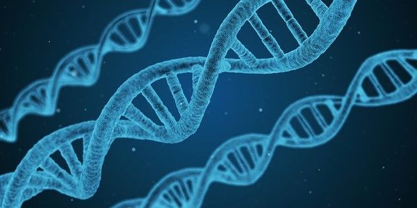 Clonación artificial - Bioeticawiki